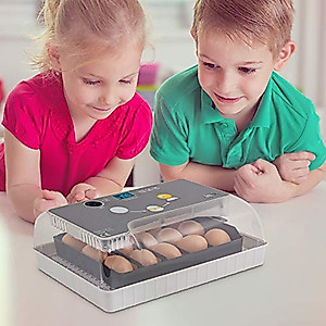 Jumbl Clear Egg Incubator, Fully Automatic Digital Poultry Hatching Machine, Temperature Control & Automatic Egg Turner, LED Candler, Mini 12-35 Egg Incubator Breeder for Chicken, Ducks & More