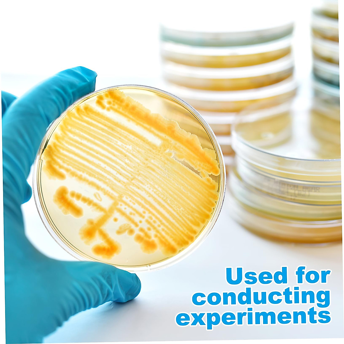 Healeved Prepoured Agar Plates 10pcs 7cm Agar Petri Dishes Science Experiment Supplies for Mushroom Cultivation and Science Fair Projects