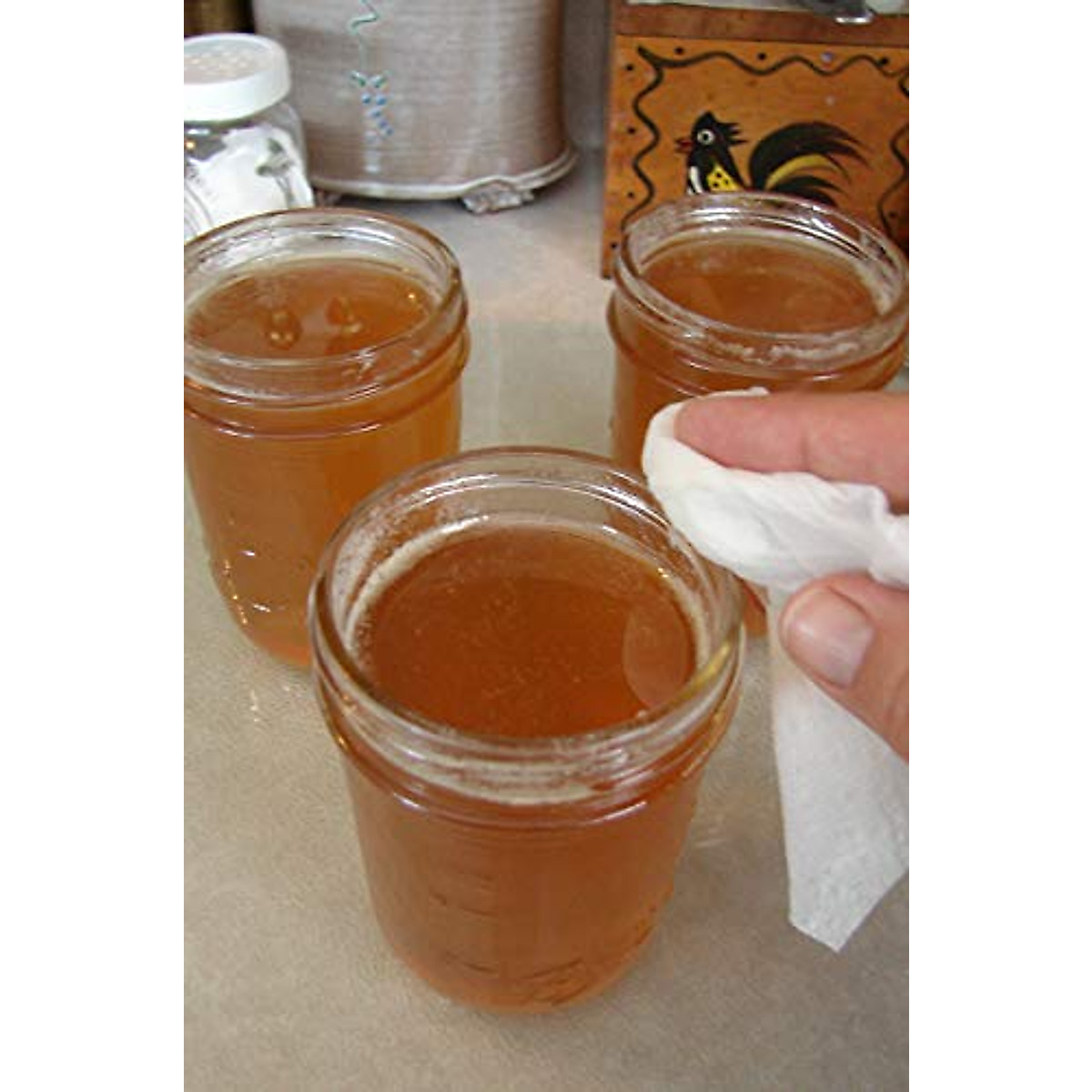 1128-Scuppernong/Muscadine,White,Tame (Vitis rotundifolia) Seeds by Robsrareandgiantseeds UPC0764425787334 Non-GMO,Organic,Historic Plants, Bonsai,1128 Package of 5 Seeds