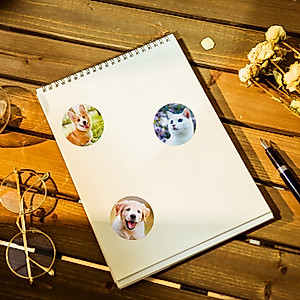 BENBO 1500 Pcs Zoo Animal Stickers, 1 Inch Cute Puppy Stickers Rolls Dog Cat Stickers Realistic Cute Kitten Labels for Party Favor Holiday Envelope Seal Scrapbooking Stickers Classroom Reward Stickers