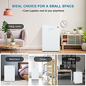 Frestec 2.5 CU' Mini Refrigerator, Small Refrigerator, Mini Fridge with Freezer, Compact Refrigerator, White (FR 250 WH)