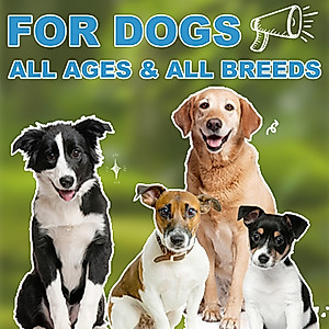 Vitamin D for Dogs, Liquid D for Dogs, Dog Vitamins D Drops Promote Calcium Absorption, Supports Hip & Joint Health and Dog Dental Health - Pet Supplements Liquid Vitamins D, Bacon Flavour - 2 Fl Oz