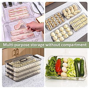 TUZZAN Plastic Bento Snack Box Container with Compartment, Stackable Fridge Container with Lids and Divided Serving Tray, Storage for Food, Vegetables, Transparent, TFSC003