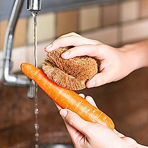 Pack of 3 Tawashi Vegetable Brushes Natural Coconut Fiber, Japanese Design, Ideal for Fruits, Veggies and Household use with Wire Hanging Loop by SKARBY