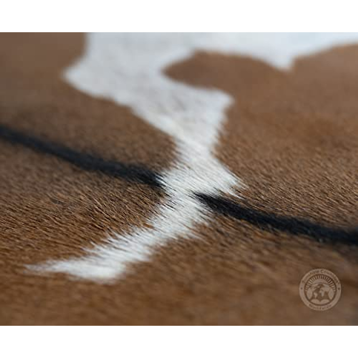 Genuine Goatskin Rug Goat Skin Goat Hide Goat Skin Rug Exotic 2 x 3 ft.