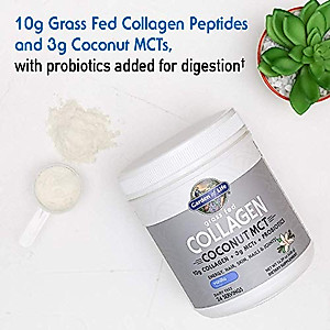 Garden of Life Grass Fed Collagen Coconut MCT Powder - Vanilla, 24 Servings, Collagen Powder for Energy Hair Skin Nails Joints, Collagen Peptides Powder, Coconut MCTs, Collagen Protein Supplements