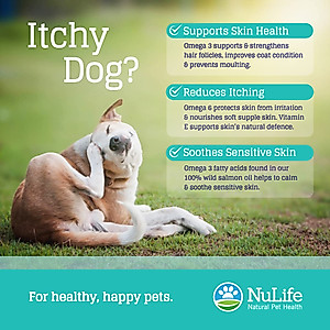 Omega Skin and Coat Chews for Dogs, Wild Salmon Dog Treats with Biotin & Vitamin E, Helps with Itchy Skin, Allergy Relief & Shedding, Omega 3 6 9, EPA & DHA Fatty Acids, Made in USA, 120 Chews