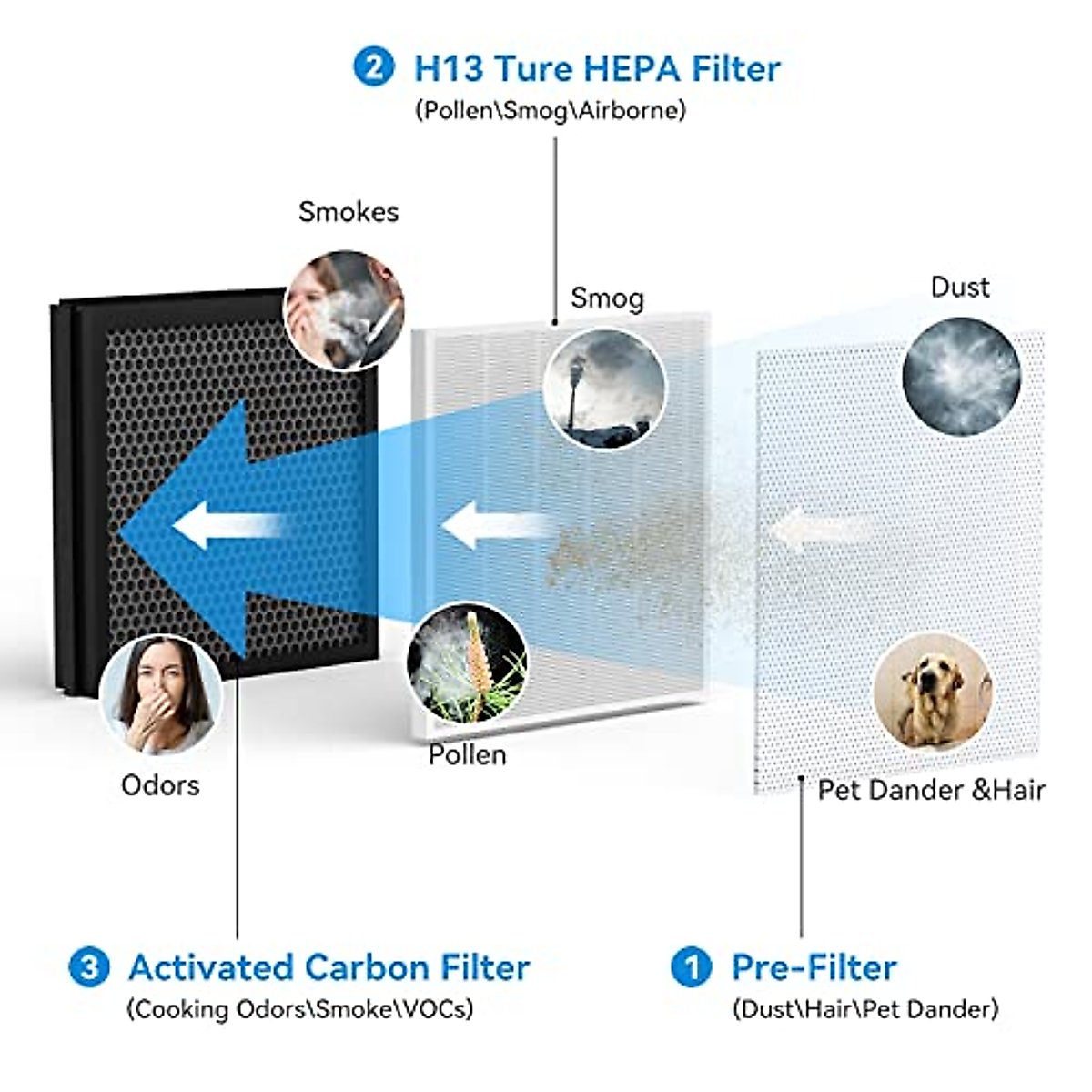 Tailulu H13 True HEPA Air Purifier Replacement Filter for HQZZ-260 Air Purifier, With 3-in-1 Filter for Large Room Filter Allergies Pollen Smoke Dust Pet Dander（1 Pack）