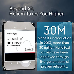 HGST/Western Digital - 0F29590 - HGST Ultrastar He12 HUH721212ALE600 12 TB Hard Drive - 3.5 Internal - SATA (SATA/600) - 7200rpm - 256 MB Buffer - 5 Year Warranty