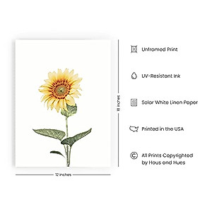 Haus and Hues Highland Cow Wall Art - Highland Cow Print and Bull Wall Art Cow Wall Decor Cow Pictures Wall Decor | Farmhouse Pictures Cow Print Animal Bull Pictures for Wall (Sunflower, 12x16 Unframed)