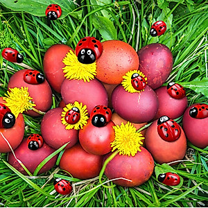 100 Pieces Tiny Resin Ladybugs Decor 0.55''-0.98'' 3 Size Plastic Ladybugs Shaped Embellishments Craft Ornaments Charms for Party Wreath Home Decoration