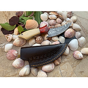 NUSHBA 017 Handmade Fixed Blade Hunting Skinner Knife, Damascus Steel Blade, Camal Bone Handle -Best Hunting Knife with Cow Brown Leather Sheath