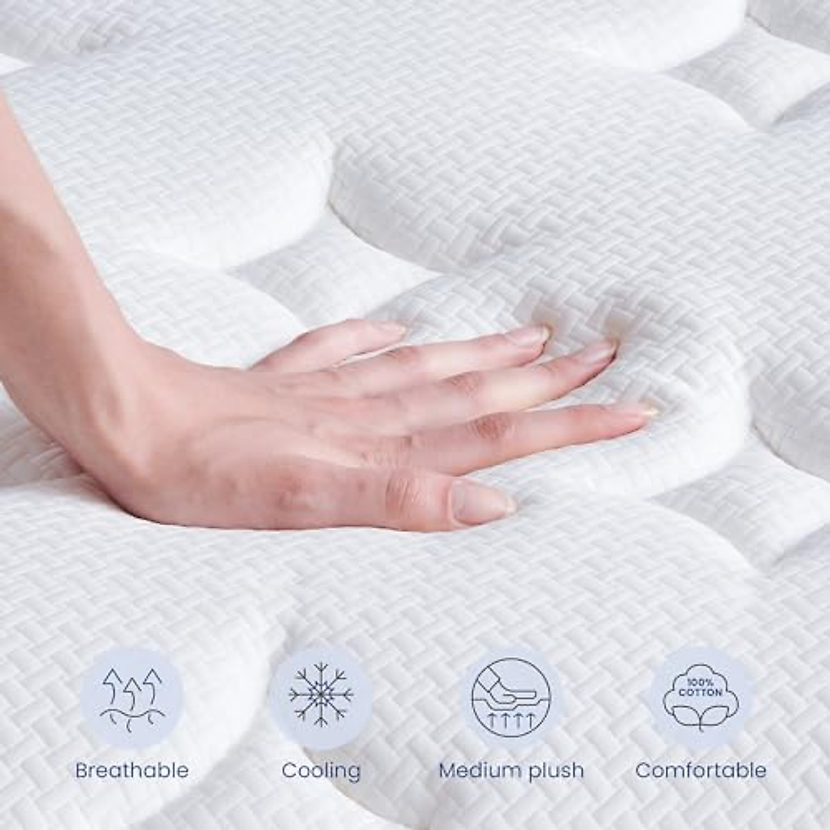 Dourxi Queen Mattress, 12 Inch Hybrid Queen Size Mattress in a Box with Gel Memory Foam, Individually Pocketed Springs for Support and Pressure Relief - Medium Plush