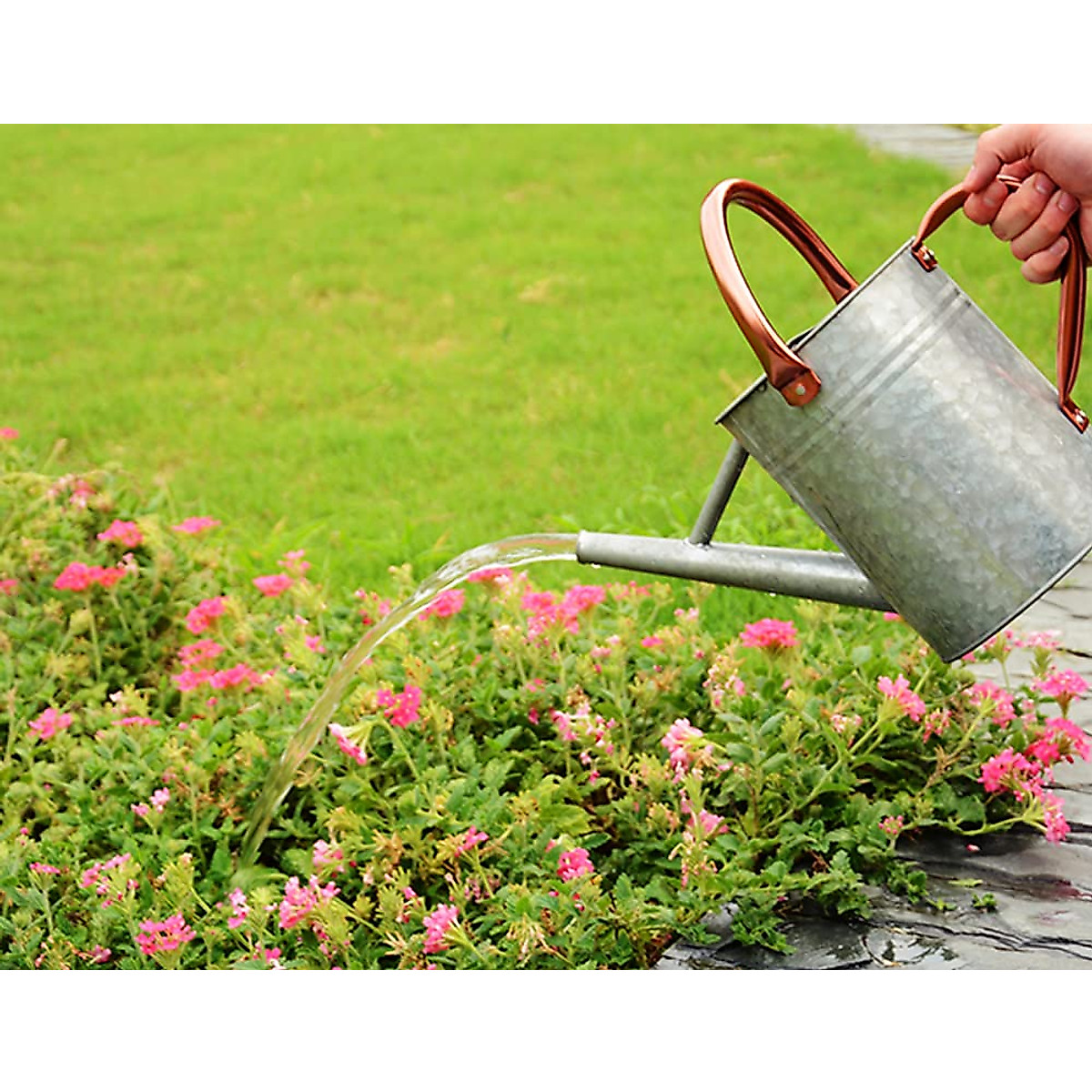 yourjoy Metal Watering Can, One Gallon Watering Cans Stainless Steel for Outdoor Indoor Garden Plants Watering (Zinc 1 Gallon)