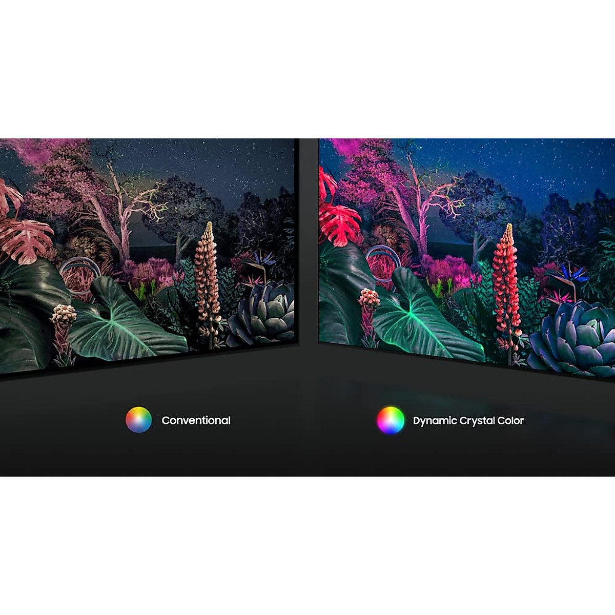 SAMSUNG QN85QN800BFXZA 85 Inch 8K QLED Quantum Mini LED HDR Smart TV with an Additional 2 Year Coverage (2022) (Used)