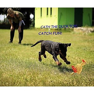 KIRTI Dog Chew Toys Rope - Durable Rope Puppy Chew Toys Animal Shape Washable Cotton Rope Toys Set for Small Dog Puppy Pet(4 Packs/Set)