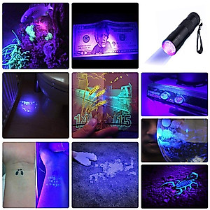 Optimal Shop 6 Pack UV Blacklight 12 LED Flashlight Torch Light Outdoors Etc(6 Pack 12 LED)
