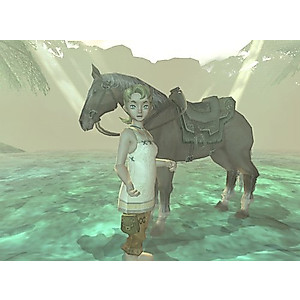 The Legend of Zelda: Twilight Princess (Renewed)