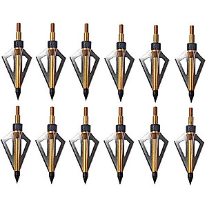 PG1ARCHERY 12 Pack 3 Fixed Blade Archery Hunting Broadheads 100 Grain with Case Arrow Head Screw-in Tips for Compound Bow & Crossbow (Golden)