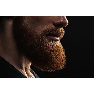 Beardoptima Elemental Beard Oil for all Types of Beard | Softens and Moisturizes Facial Hair | Contains Vitamin E Helps Reduce Beard Irritations & Accelerate Beard Growth | 1 FL OZ / 30ML