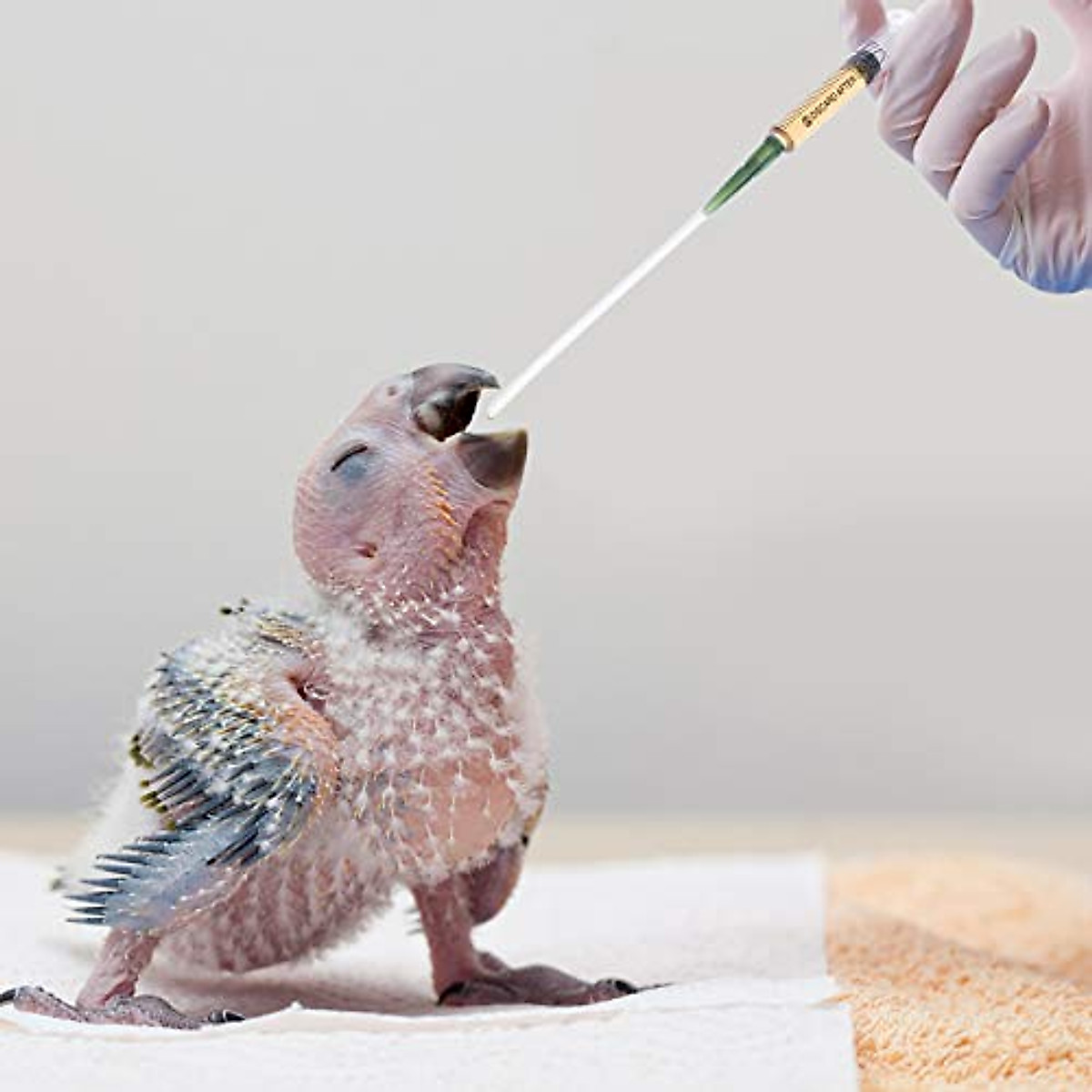 POPETPOP 3pcs Young Birds Feeding Syringe Plastic and Perspex Material for Feeding Milk for Young Birds or Feeding Medicine for Sick Birds