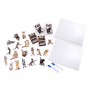 The Cat Game Drawing Game for Teens and Adults