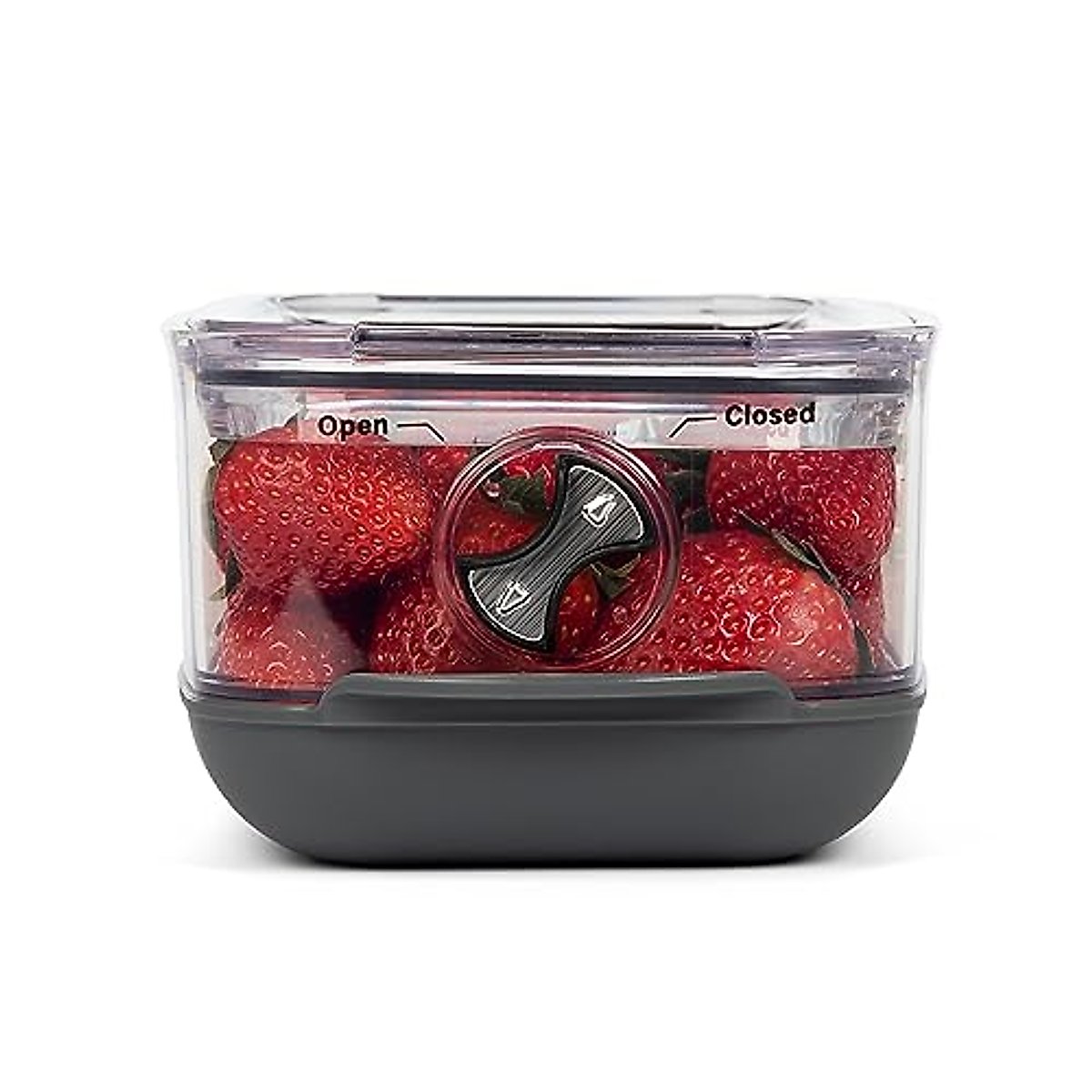 ProKeeper+ by Progressive Stackable Produce ProKeeper Storage Container with Stay-Fresh Vent System (PKS-912 (1.2 qt Berry Keeper))