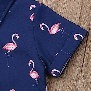 VISGOGO Toddler Baby Boy Flamingo Short Sleeve Button Down Shirt & Casual Shorts Set Summer Outfits 1-6 Years Clothes