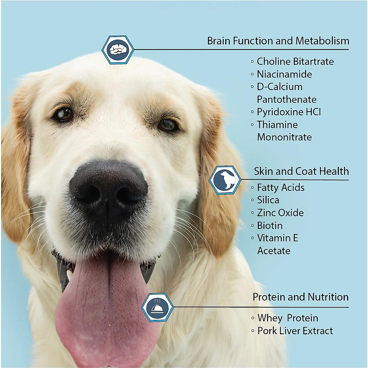 Vita-Tabs - Essential Vitamins, Minerals, Nutrients - Health Supplement for Dogs - Support Immune System, Bones - Liver Flavored - 250 Chewable Tablets
