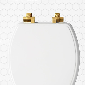 Mayfair 826BGSL 000 Benton Toilet Seat with Brushed Gold Hinges will Slow Close and Never Come Loose, ROUND, Durable Enameled Wood, White