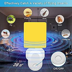 Flying Insect Trap Plug-In, 2023 Upgrade Mosquito Trap Gnat Killer Indoor, Safe Non-Toxic UV Light Attractant Indoor Plug-In Night Light Fly Trap with Sticky Pad for Flies, Gnats, Moths(1 Pack, White)