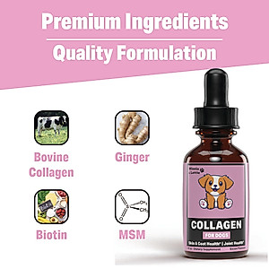 Collagen for Dogs - Liquid Collagen for Dogs - Skin and Coat Supplement for Dogs - Dog Liquid Collagen - Dog Collagen - Dog Collagen Drops - Collagen Dog - Collagen Dogs - 1 fl oz - Bacon Flavor