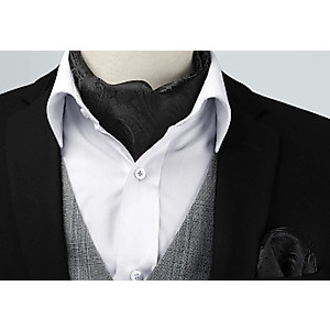 HISDERN Cravat Ties for Men with Pocket Square Casual Paisley Ascot Self Tie Scarf Handkerchief Set for Business Prom