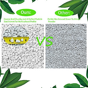 Natural Organic Perlite 5QT for Plants Potting Mix Indoor Outdoor Garden Soil Amendment for Enhanced Drainage, Seed Starter, Root Growth for Succulents, Cactus, Orchids, Money Trees, Vegetables