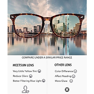 MEETSUN Blue Light Blocking Glasses, Anti Eye Strain Headache (Sleep Better),Computer Reading Glasses UV400 Transparent Lens (Black+Leopard+Tortoise, 53)