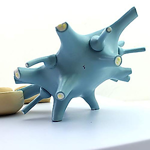 Medical Neuron Cell Body Nerve Fiber Structure Enlarged Model, Brain Anatomy Neurology Model 2-Part Teaching Demonstration Tool