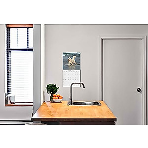 2023 2024 Labradoodle Calendar - Dog Breed Monthly Wall Calendar - 12 x 24 Open - Thick No-Bleed Paper - Giftable - Academic Teacher's Planner Calendar Organizing & Planning - Made in USA