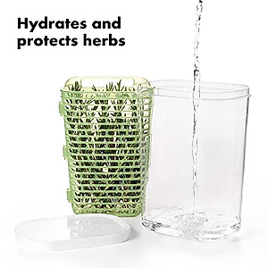 OXO Good Grips GreenSaver Herb Keeper- 2.8 QT