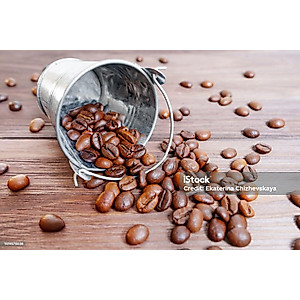 GIFTEXPRESS 48 Pack Mini Metal Buckets with Handles, Small Galvanized Tin Pails for Party Favor, Succulent, Wedding