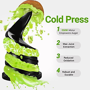 Juicer Machines, AMZCHEF 5.3-Inch Self-Feeding Masticating Juicer Fit Whole Fruits & Vegetables, Cold Press Electric Juicer Machines with High Juice Yield, Easy Cleaning, BPA Free, 250W