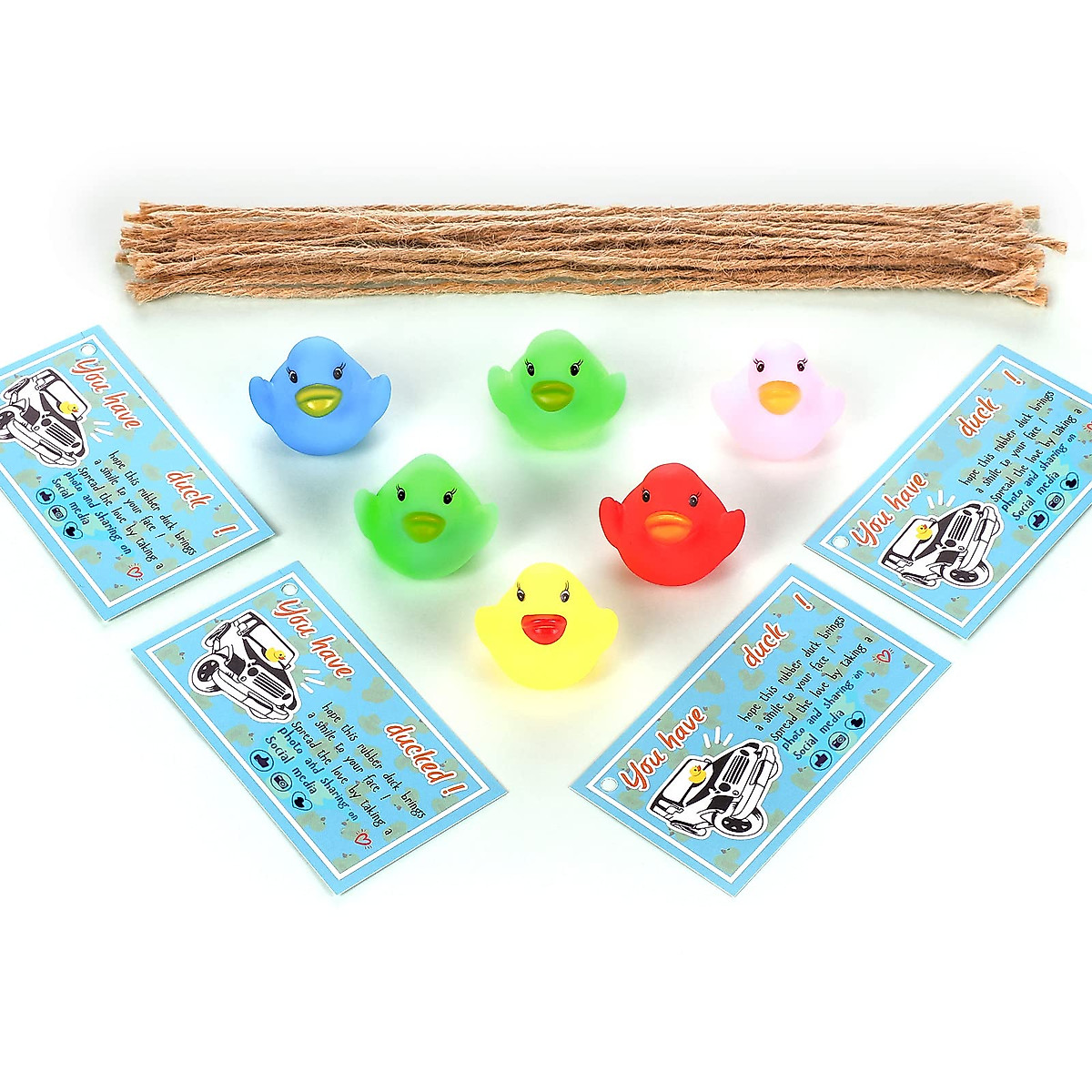 60 Pcs You've Been Shunned Cards with Rubber Ducks and Strings Small Rubber Duckies with Duck Card Tags Mini Rubber Ducks Bulk for Car Street Toy Party Game Decor Assorted Colors (Simple Style, Paper)