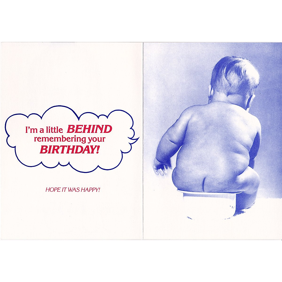 All Occasion Funny Greeting Card Assortment - Birthday, Friendship, Love, etc - 12 pack