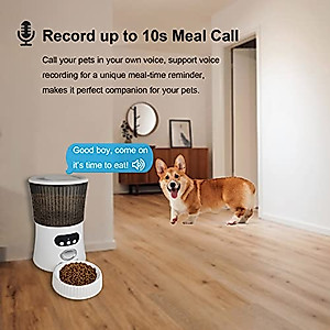 KaLoken Automatic Cat Feeders 6L, Wi-Fi Smart Pet Feeder for Cat & Dog, Timed Auto Dog Feeder Dry Food Dispenser with App Control, Distribution Alarms and 10s Voice Recorder