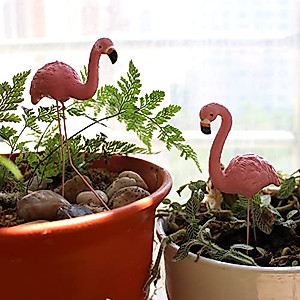 PEGZOS Resin Mini Flamingos Set of 4 for Plant Pots, Miniature Figurines & Accessories for Fairy Garden (Pink, 4pc)