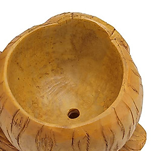 Small Snail Succulent Flower Pots Mini Plant Containers Cute Resin Snail Animal Shaped Flower Pot Succulent Planter Vintage Cactus Plant Pot for Bonsai Cactus Home Office Desktop Ornaments