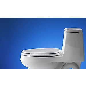 KOHLER K-4647-0 Stonewood Molded-Wood with Color-Matched Plastic Hinges Elongated Toilet Seat, White