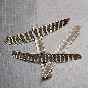 ZSHJGJR 30 Pieces Full Length Turkey Feather Archery Arrow Fletching (7-11 Inch) Spiral Twist Wrap Feathers Right Wing Fletches for DIY Flu Flu Arrows (Right Wing)