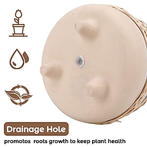 Chonsun Ceramic Planter 8 Inch Plant Pots Indoor Outdoor Planter with Drainage Hole Flower Pots Plant Pot Ceramic Mid-Century