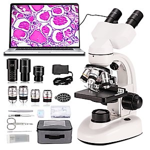 Compound Binocular Microscope, WF10x and WF25x Eyepieces,40X-2000X Magnification, LED Illumination Two-Layer Mechanical Stage (Binocular Four-Hole Microscope)