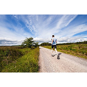 Fox River Men's Wick Dry Maximum Mid Calf Military Sock, 3 Pack (Coyote Brown, Large)